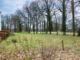 immogy | Vastgoedkantoor te 's-Gravenwezel (Schilde)